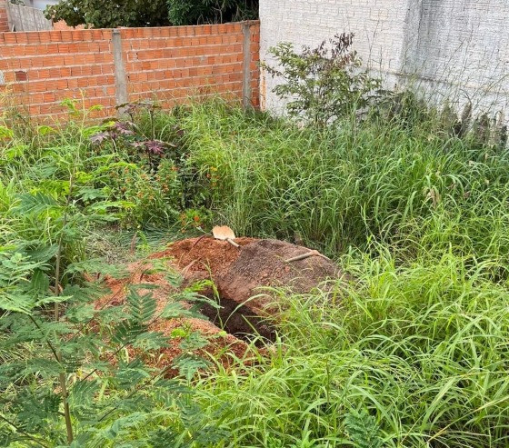 Polícia Indicia Quatro Bandidos Que Sequestraram E Cavaram Cova Para