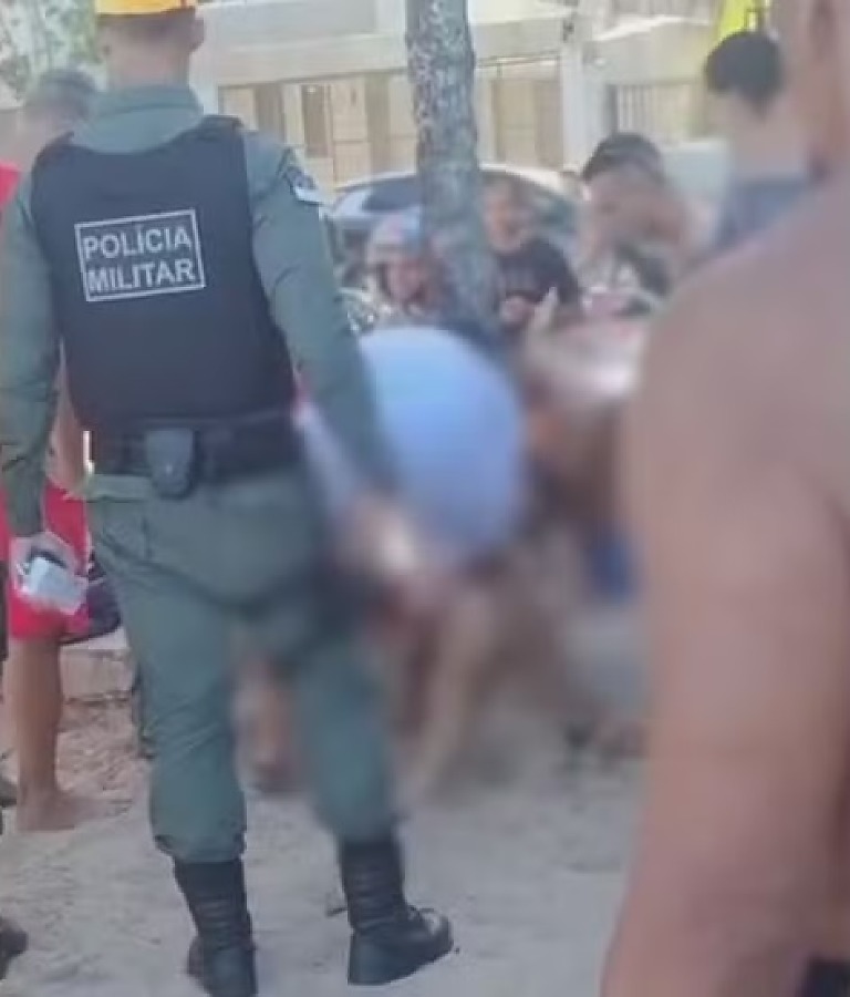 Jovem tem perna arrancada por mordida de tubarão em praia no Recife; 2º ...